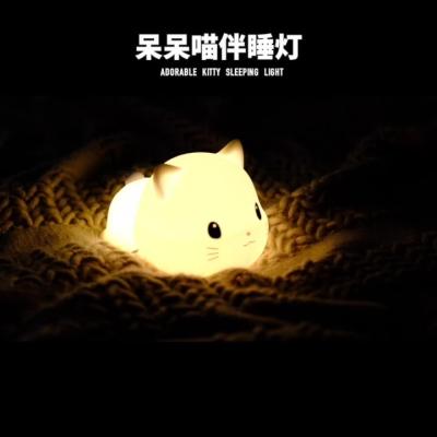 중국 USB 충전 및 센서 제어 장치와 함께 부드러운 흰색 자동 센서 LED 밤등 판매용