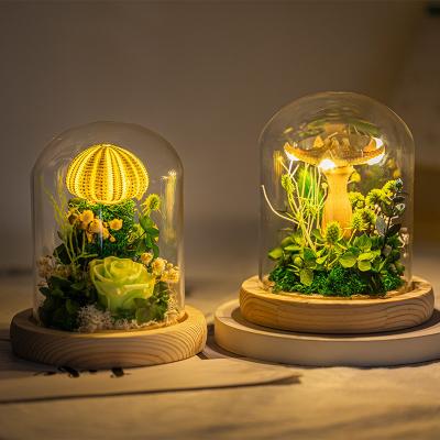 중국 휴대용 흰색 펭귄 동물 LED 야간 조명 조정 밝기 재충전 침대 옆 램프 판매용