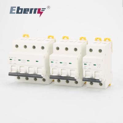 Cina Eberry ERB1 125a Mccb MCB 63A 80A 100A 125A Mini Electric Breaker in vendita