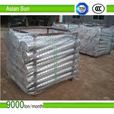 China Galvanized Steel Ground Screw with Best Price for sale