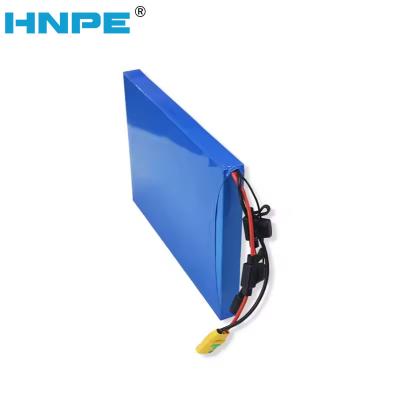 China UNIT PACK POWER Hailong Ebike Battery E-BIKE La Batterie 24V 36V 48V 52V 10AH 13AH 15AH 16AH 17AH Electric Bicycle Battery Pack for sale