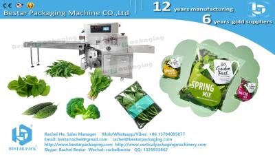 China Greens cabbage leafy pouch packaging horizontal servo packing machine for sale