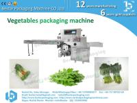 China Greens cabbage leafy pouch packaging horizontal servo packing machine for sale