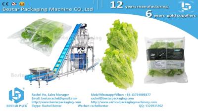 China How to pack salad vegetable in a fast and easy way for sale