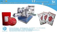 China Mashed potato flat pouch doypack packaging machine with Bestar DIY pump for sale