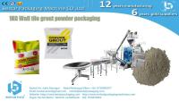 China Floor tile grout powder sachet packaging machine BSTV-450DZ for sale