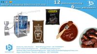 China Oil paint thick liquid pouch packaging machine with automatic filter and replenish function BSTV-450P for sale