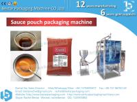 China Oil paint thick liquid pouch packaging machine with automatic filter and replenish function BSTV-450P for sale