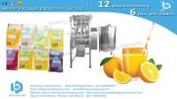 China Oil paint thick liquid pouch packaging machine with automatic filter and replenish function BSTV-450P for sale