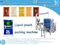 China Bestar automatic packaging machine for mayonnaise pouch BSTV-650P for sale