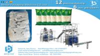 China Automatic packaging machine with 12 heads scale counting and weighing both functions BSTV-450AZ for sale