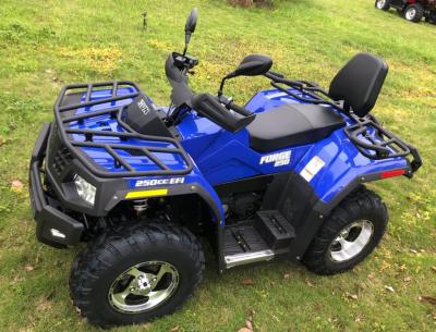 Cina Quad Bikes 250cc ATV con trazione a catena a due ruote e velocità massima ≥100Km/h in vendita