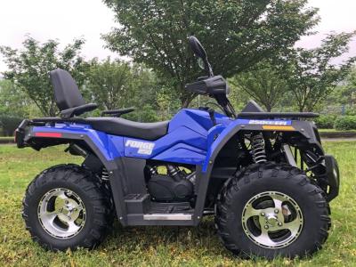 Cina Quad Bikes 250cc ATV con trazione a catena a due ruote e velocità massima ≥100Km/h in vendita