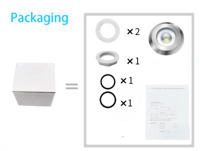 Cina lo stagno subacqueo di 10W IP68 LED accende l'anti corrosione di acciaio inossidabile in vendita