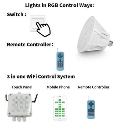 China REFINED Dimmable Remote Control Appliance Switch Wireless AC12V for Pool Light for sale
