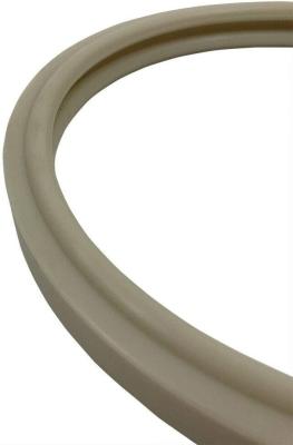 Cina Guarnizione della lente per la guarnizione americana della lente per AmerLite AmerQuartz SAM Pool Light 79101600 O-170 in vendita