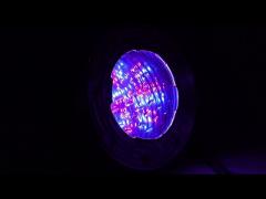 Stainless Steel 12V Pool Light Bulb , Multipurpose Pool And Spa Light Bulbs