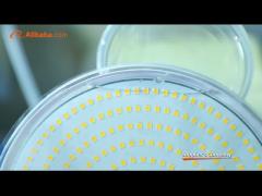 15 Years LED Pool Light Factory