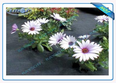 China 45gsm Heavy Duty Landscape Fabric For Garden 2% UV Resistance for sale