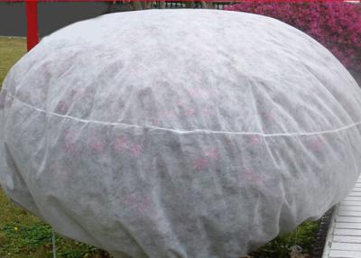 China Tear Resistant Spun Bonded Non Woven Weed Control Fabric for Agriculture and Landscape Industry for sale