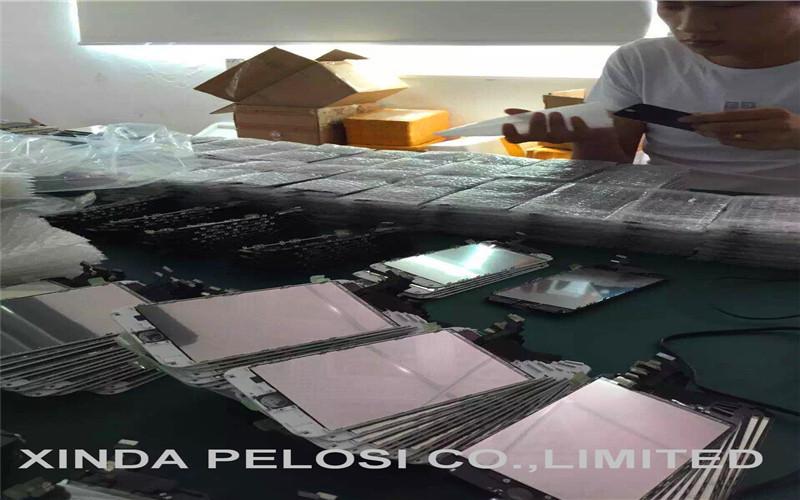 Fornitore cinese verificato - XINDA  PELOSI CO.,LIMITED
