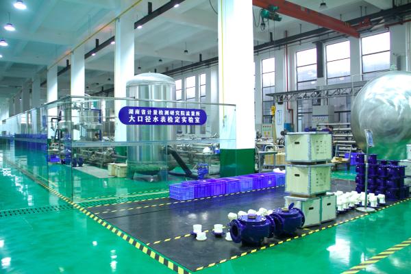 Quality 4 Inch to 8 Inch Horizontal Woltmann Dry Type Detachable Measuring Unit Industry for sale
