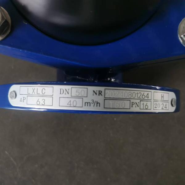 Quality Customizable Stainless Steel Woltman Water Meter SS304 Horizontal Woltmann Meter for sale