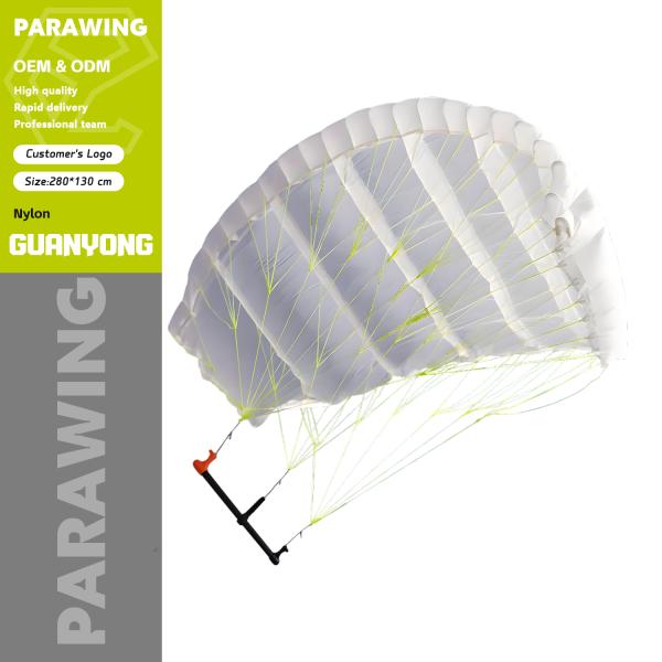 Quality Beginner Friendly Parawings 280 X 130cm Skateboard Teaching Kitesurf Pump for sale