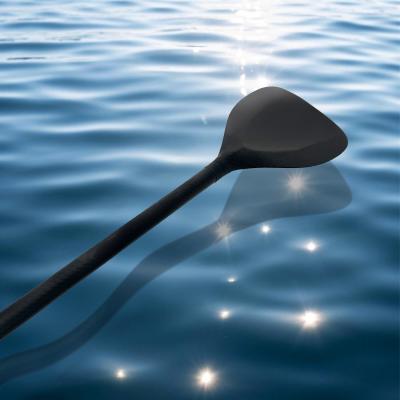 China Adjustable Carbon Fiber Paddle Water Sports Portable Kayak 290x250mm for sale