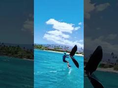 hydrofoil 12