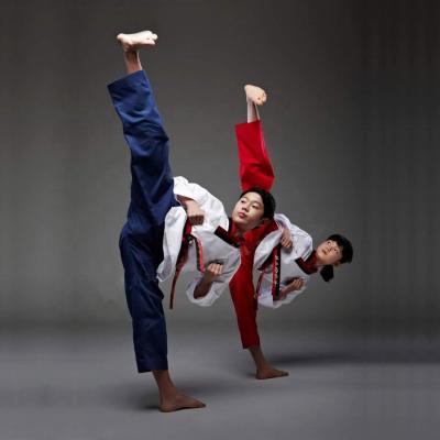 China WTF approved custom taekwondo master TKD uniform with embroidery or print logo for sale