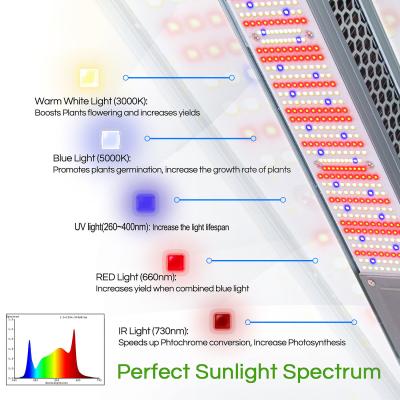 Cina Ra supplementare 320W 80 delle luci progressive commerciali della serra LED in vendita