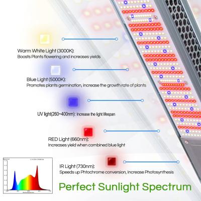 Cina Luci progressive di alluminio 2.8μmol/J 50Hz della serra LED da 600 watt per la serra in vendita