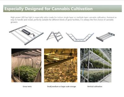 Cina 8 barre del LED della pianta di spettro completo di Herb Grow Lights 640w Lm301h 3000k in vendita