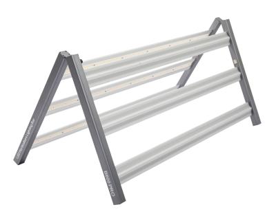 Cina Le piante mediche del LED coltivano le lampade la luce di 720w IP65 LED che per 5x5 coltiva la tenda in vendita