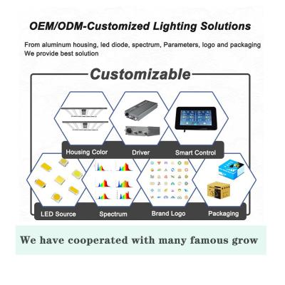 Cina Luci progressive d'attenuazione all'aperto impermeabili IP65 2.8umol/J 1000W per la pianta in vendita