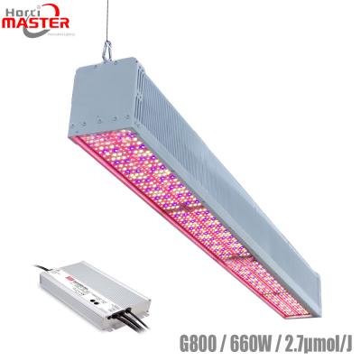 Cina Luci progressive supplementari UV Lm301b 60Hz del LED per le erbe mediche in vendita