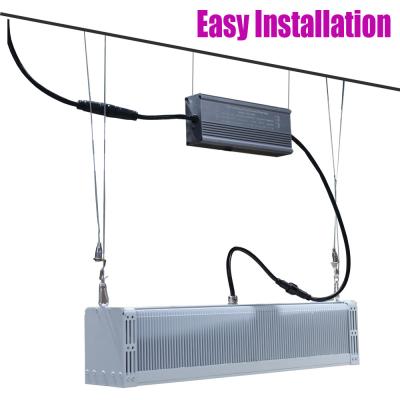 Cina Luce UV supplementare di CA 100V Lm301b 600w delle luci progressive di orticoltura LED in vendita