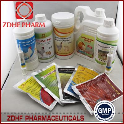 China Poultry Diarrhea Medicine Andrographis Paniculata Powder for sale
