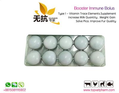 China Livestock Cattle Sheep Booster Immune Bolus for sale