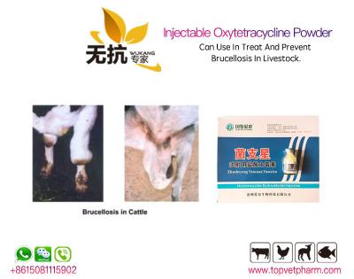 China Treat And Prevent Brucellosis In Livestock. for sale