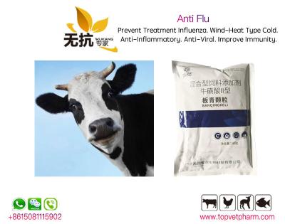 China Veterinary Prevent Treatment Influenza For Cattle Sheep for sale