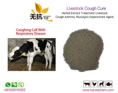China Herbal Extract Treatment Livestock Cough.Asthma. Mucolytic Expectorant Agent. for sale