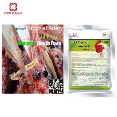 China 24 Hours Remove Chicken Respiratory Bronchial Embolization for sale