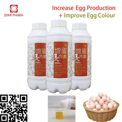 China Oral Liquid Layer Production Eggshell Colour Immune Booster With 1 Liter for sale