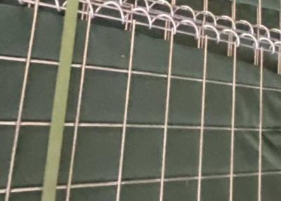 Cina Panel di filo galvanizzato economico Barriera itare Dispositivi personalizzabili 4mm Spiral Dia Wire Panels in vendita