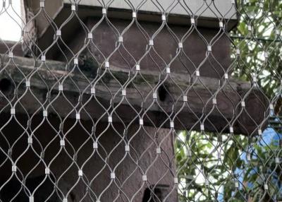 China Rhomboid Hole Rockfall Prevention Netting with Ferruled Connection for Zoo for sale