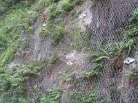 China Galvanized Hexagonal Wire Mesh 2.7mm 6x8cm Slope Protection with 85-250 kN/m Tensile Strength for sale