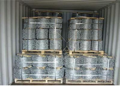 Cina Zinco a fisarmonica itare del filo spinato 20g del rasoio 50kg ricoperto in vendita