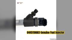 0445110603 Fuel Injector for D06FR Engine and SY245